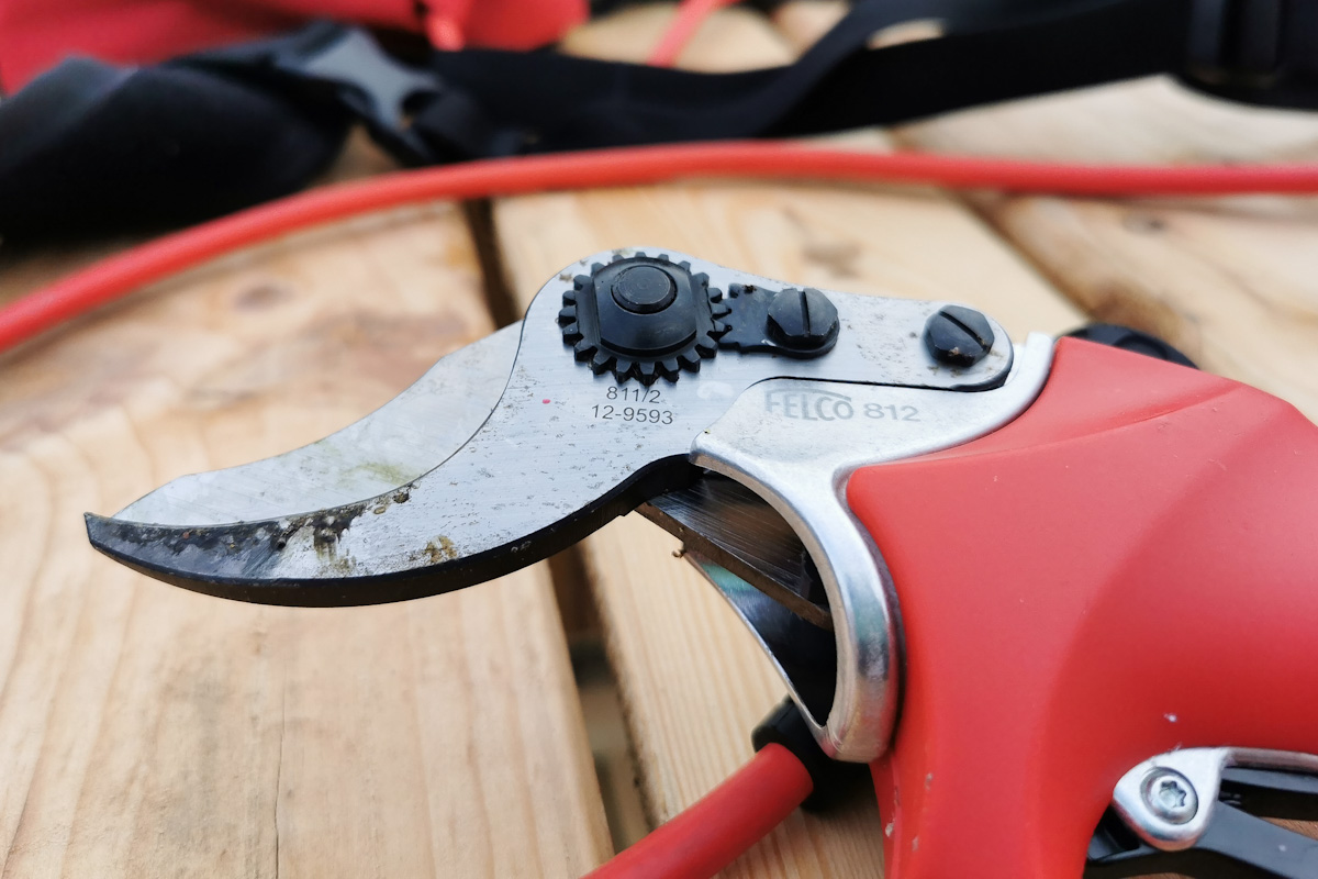 Test sekatora elektrycznego Felco 812 [Video] - Sad24.pl